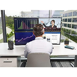 HP t740 Thin Client - AMD Ryzen V1756B Quad-core (4 Core) 3.25 GHz