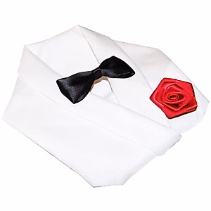 Mini Bows for Crafts,Ribbon Gift Bows for Gift Wrapping,Gift Bag,Holiday Cards,Xmas Crafts,Wedding Invitation Card & Party Favor-20pc 1.5" Red Bow Tie for Holiday Present Decorations