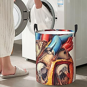 Human Anatomy Heart Chart Laundry Basket Protable Circular Laundry Hamper Storage Bin Organizer With Handles For Bathroom,Bedroom Clothes