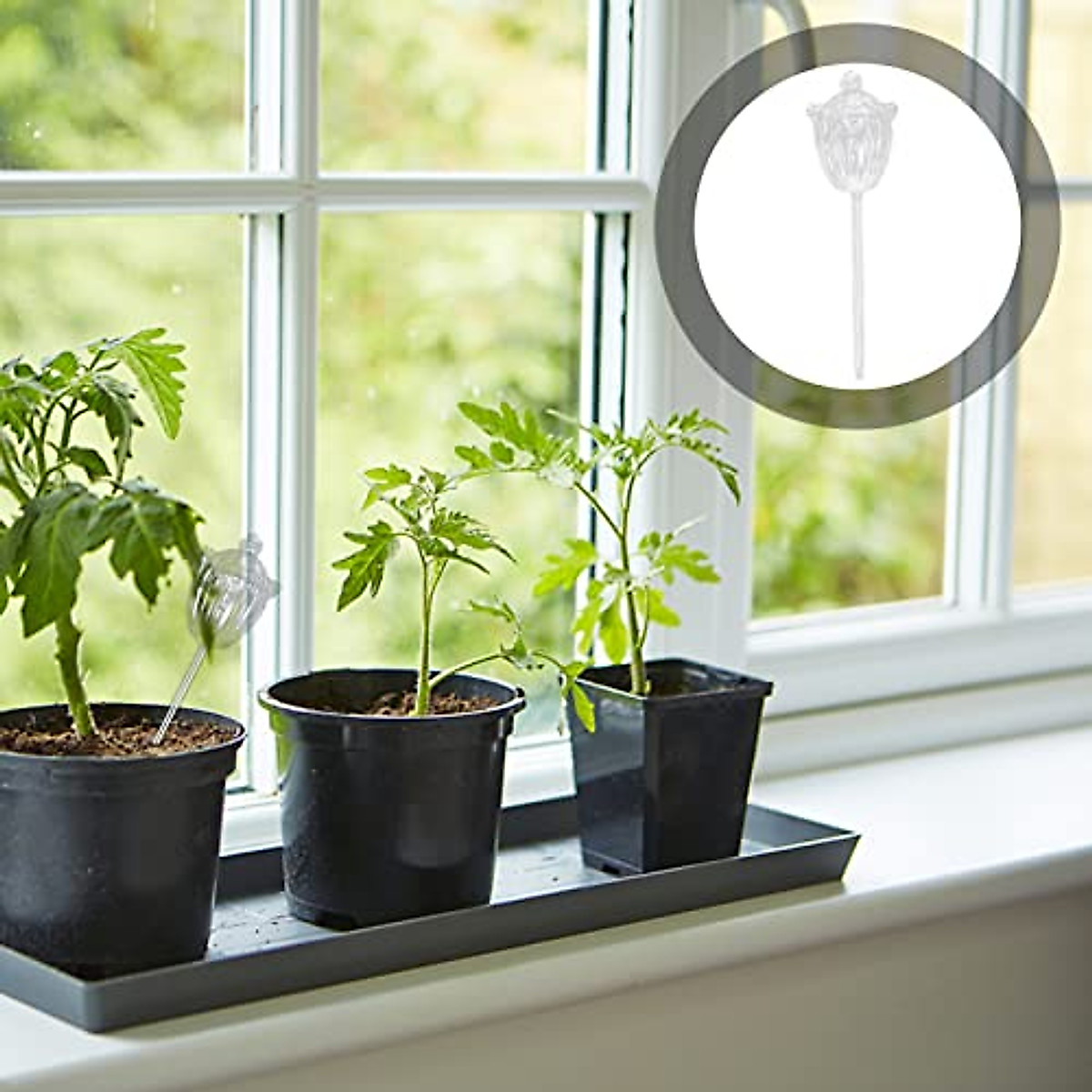 Yardwe House Plants House Plants Indoors Live 2pcs Practical Bonsai Plant Watering Globe Clear Glass Watering Device Cute Shape Waterer Bulb House Plants Plant Watering Globes