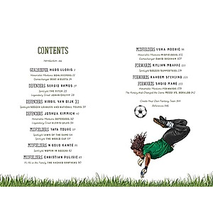 Soccer Stars on the Pitch: Biographies of Today's Best Players