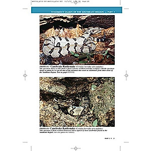 U.S. Guide to Venomous Snakes and Their Mimics