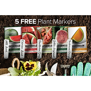 Watermelon Fruit Seeds for Planting Home Garden 5 Variety Packets - Crimson Sweet, Jubilee Improved, Tendersweet Orange, Charleston Grey, and All Sweet Watermelon Seed Packs by Gardeners Basics