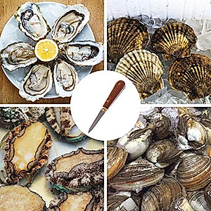 Oyster shucking knife, oyster knife, full tang knife not easy to break and bend (1knife+1case)