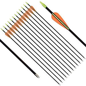 GPP 28" Fiberglass Archery Target Arrows - Practice Arrow or Youth Arrow for Recurve Bow- 12 Pack