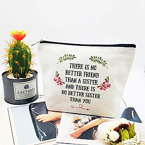 Sister Gifts from Sisters Birthday Mothers Day Gifts for Sister in Law from Brother Funny Makeup Bag for Women There is No Better Sister Than You Thank You Gifts for Christmas