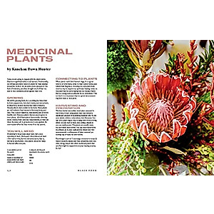 Black Food: Stories, Art, and Recipes from Across the African Diaspora [A Cookbook]