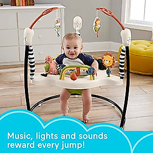 Fisher-Price Baby Bouncer Palm Paradise Jumperoo Activity Center With Music Lights Sounds And Developmental Toys