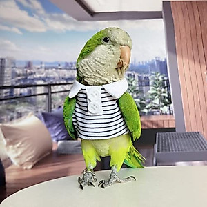 Bird Costume Bird Diaper Flight Suit Bird Summer Clothes Cosplay Photo Prop for Parrots Lovebird Parakeet Cockatiel Small Animals Apparel (Without Diaper,Green-cheeked Conure)