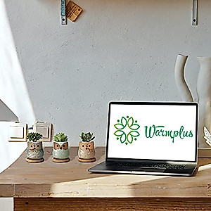 Warmplus 2.5 inch Owl Succulent Plant Pots - Mini Ceramic Planter with Drainage Hole for Mini Succulent Plants, Plants Not Included, Cute Succulent Kit 6 Pack
