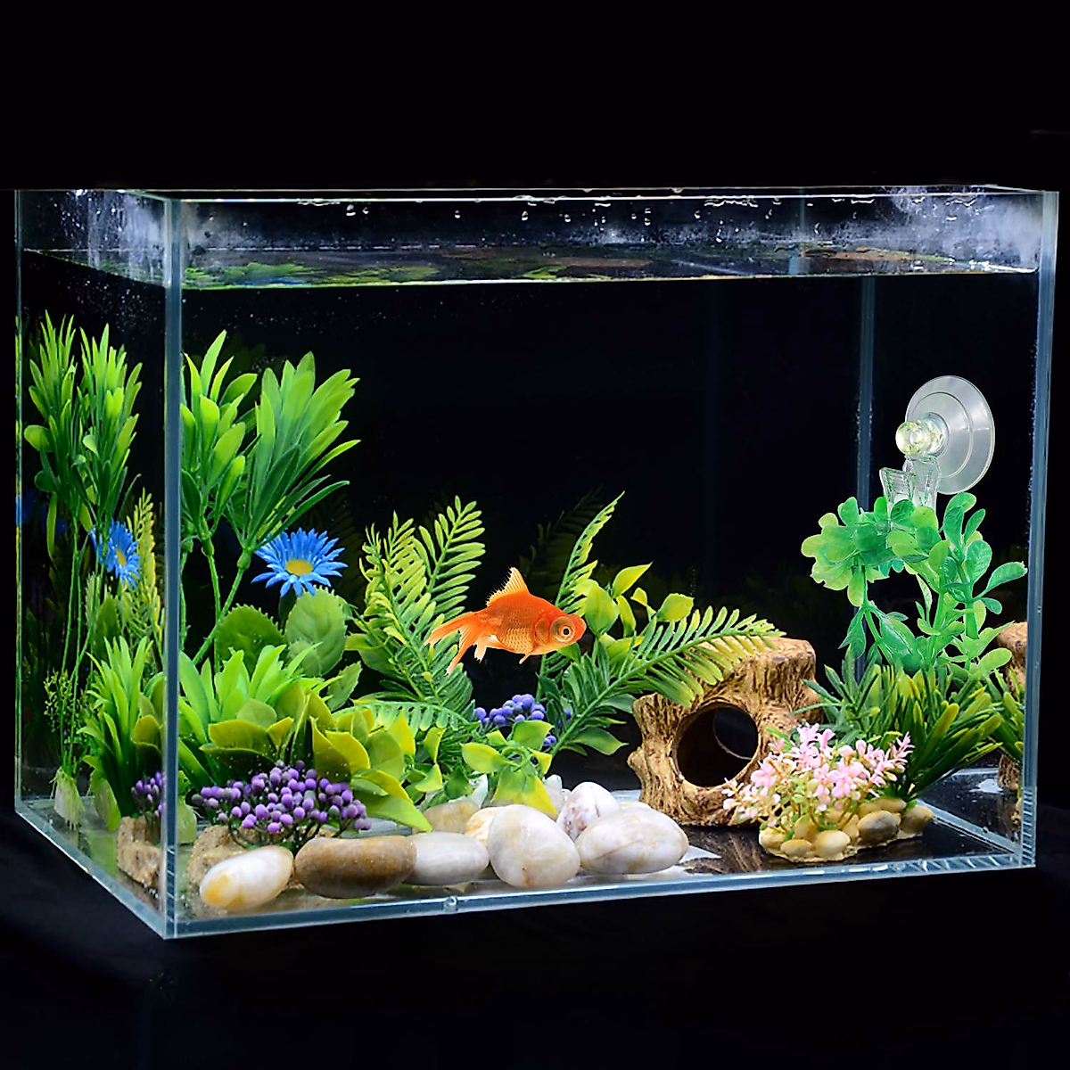 SLSON Fishes Veggie Seaweed Plant Suction Cup Clip Feeding Tool Feed Holder Aquarium Accessories for Fish Tank Fish Feeder Clips (4Pack Transparent)