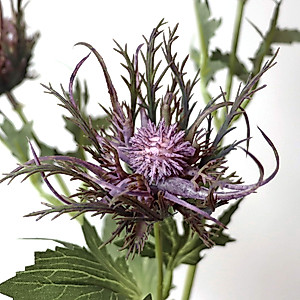 MINYULUA Artificial Thistle Flowers Purple Eryngium Flowers 8 Long Stems Faux Thistles Bunch Fake Plant Spray Eryngo | Sea Holly for Wedding Bouquet Centerpiece Home Kitchen Office Garden Decor