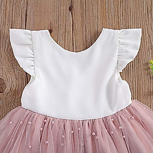 Leesiy Newborn Baby Girls Xmas Dress Red Rose Flower Lace Ruffle Bubble Tulle Princess Dress Wedding Party Easter Day Dresses (Wedding Party-Pink, 1-2Years)