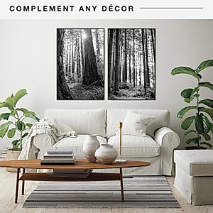 MCS Original Poster Frame, Black, 24 x 36 Inch, Set of 2