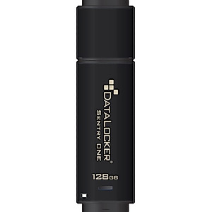DataLocker Data Locker Sentry ONE Encrypted Flash Drive - 128 GB - USB 3.1-256-bit AES - TAA Compliant