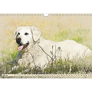 Golden Retriever 2020 (Wandkalender 2020 DIN A4 quer): Golden Retriever im kunstvollen Aquarell-Stil. Jedes Monatsmotiv gleicht einem kleinen Kunstwerk (Monatskalender, 14 Seiten )