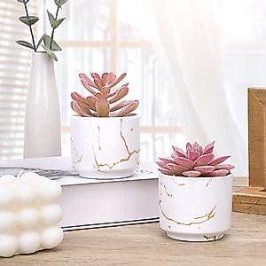 CEWOR 2pcs Succulents Plants Artificial Pink Office Decor for Women, Fake Succulents in Ceramic Pots, Fake Plants for Bathroom Desk Home Decoration Office Supplies