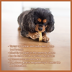 Wildfang® Yak Chews for Dogs, Chewing Bone Dog from Cow Milk - Hard Cheese Chewing Cheese for Dogs from Pasture Milk, Yak Himalaya Recipe, All Dog Sizes and Puppies, Himalaya Yak Dog Chewing Bone