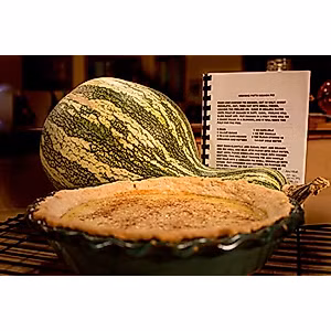 TomorrowSeeds - Green Striped Cushaw Seeds - 20+ Count Packet - Southern Kershaw Pumpkin Winter Squash Gourd Silver Garden Vegetable Seed