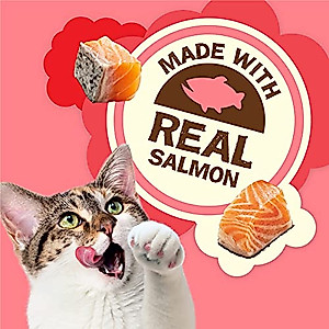 Purina Friskies Natural Cat Treats, Party Mix Natural Yums With Real Salmon and Vitamins, Minerals & Nutrients - (10) 2.1 oz. Pouches