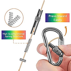 Zalava 6pcs 2”D-Clip Durable Locking Carabiner Keychain Clip,Keychain Clip Hook