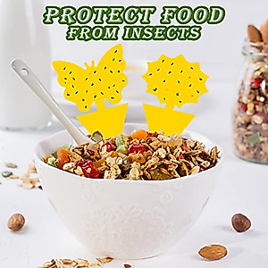 Landisun Fruit Fly Sticky Traps 48PCS Fungus Gnat Traps Bug Traps Gnat Killer for Indoor Outdoor House Kitchen Plants Whitefly Mosquitos Flying Insects JPM0149 Yellow