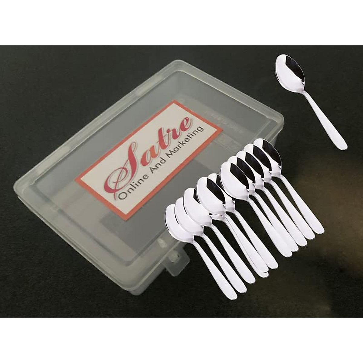 SLNDOKTG Stainless Steel Spice Box Spoons Set of 12 (Silver)