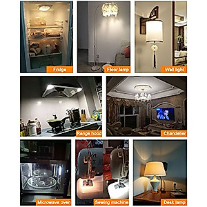 KINDEEP E17 LED Bulb Dimmable, 4W, Daylight White 6000K, Microwave Oven Light Bulbs Equivalent 40W, Ceramic Construction, Versatile Compatibility