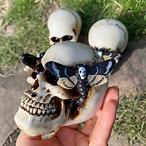 Basuo-9Q Pack of 3 Hear Speak See No Evil Resin Figurines Halloween Decoration Wise Skeletons Statues Black Reapers (Moth-Skulls)