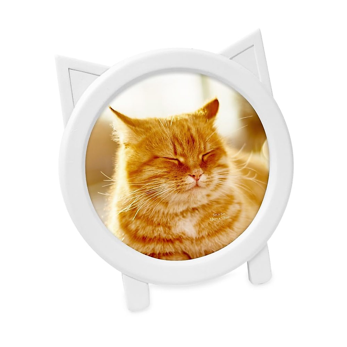 Isaac Jacobs 5x5 Round Resin Sentiment Cat Picture Frame with Ears, Photo Tabletop & Wall Display Hanging Display & Home Décor (White)