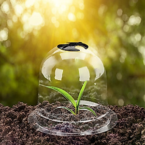 MorTime 6 Pack Garden Cloche Plant Dome, 7.3" D x 6.9" H Plastic Plant Bell Cover Reusable Mini Greenhouse with 18 Ground Securing Pegs & 10 Plant Labels for Outdoors Frost Freeze Protection