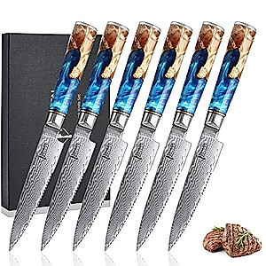 SENKEN 13-Piece 67-Layer Damascus Steel Kitchen Knife Set - "Tsunami" Collection - 7-Piece Chef Knife Set with 6 Matching Damascus Steak Knives