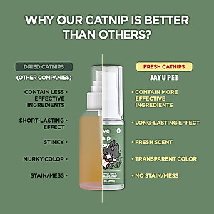 Active Catnip Spray - High Potency Transparent Liquid Spray made of Fresh Organic Catnip for Indoor Cats and Kittens, Relieves Stress, Calming, Revives Toys & Scratching Posts, Exercise (1fl oz)
