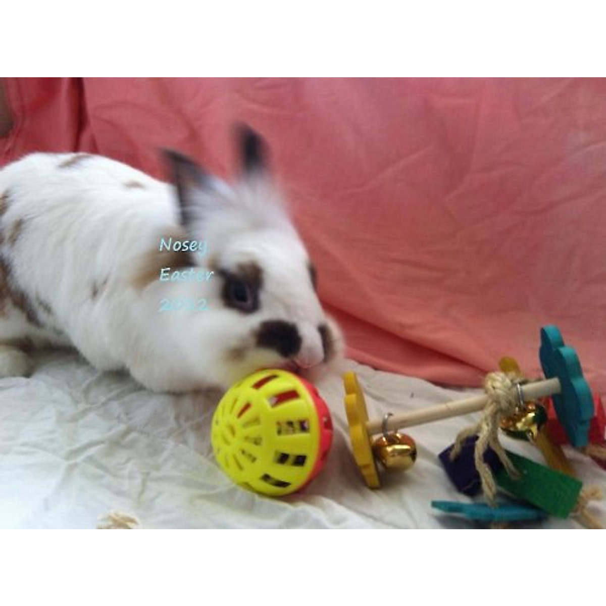 Crazy Jingle Tossing Rabbit Toy