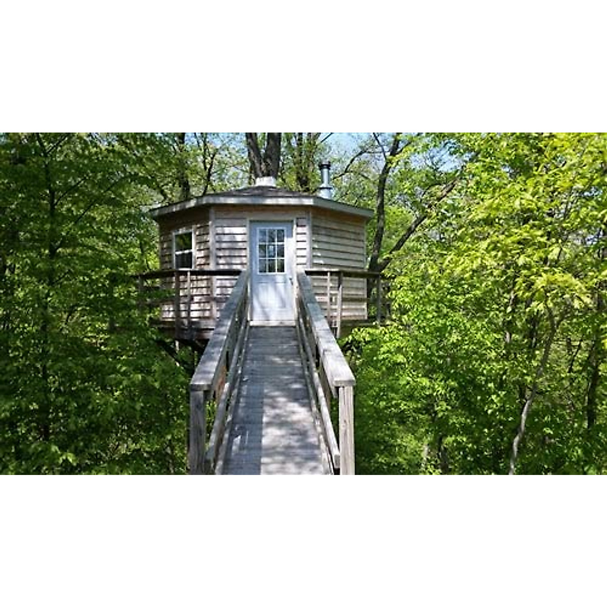 The Flathead © : 10' Octagonal Treehouse Plan
