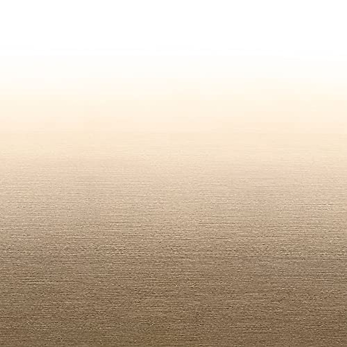 RecPro RV Awning Fabric Replacement 17 Foot Camper Awning | Tan | Width Size Options | 8' (96") Length | Heat Sealed | 3 Year Warranty (17 Feet, Actual 16' 1")