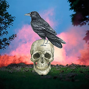 Halloween Yard Sign Crow On Skeleton Head Scary Stakes Yard Decorations Halloween Party Decorations Garden Stakes Decor Yard Signs Yard Art for Patio, Garden, Porch Halloween Party Decor 1 Pack