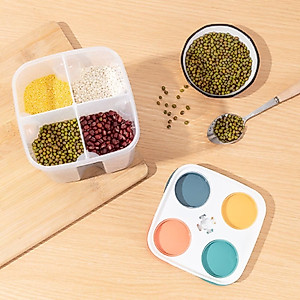 Typutomi Airtight Cereal Storage Container, Clear 4 Grid Grain Storage Tank Food Storage Container with Lids Noodle Storage Box for Grain, Nuts,Rice, Candy, Snacks(Dark Colored Lid, 2.3L)