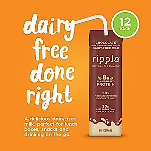 Ripple Vegan Protein Shake, Chocolate 12 Fl Oz (12 Pack) & Ripple Vegan 8 oz Dairy-Free Milk, Chocolate (12 Pack) | 24 Pack