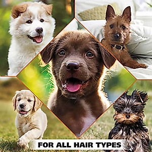 Wahl Gentle Puppy Shampoo for Pets – Cornflower & Aloe for Grooming Dirty Dogs - 24 Oz - Model 820002A