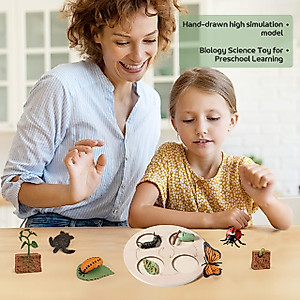 21 PCS Life Cycle Figurines of Butterfly Ladybug Snail Turtle Plant with Wooden Board, Realistic Animal Growth Cycle Figures, Education Learning Growth Stage Model Biology Science Kit Toy for Kids
