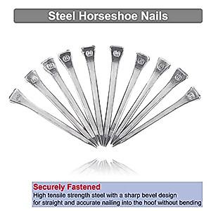 KUIDAMOS 250PCS Horseshoe Nails, Horseshoes Equipment Equestrian Sport Equipment Horse Training Supplies Tool 2.1 Inch E6 Hoof Nails for Horse Race
