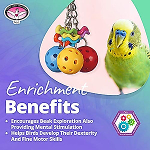 Super Bird Creations SB1093 Jingleberries Bird Toy, Small/Medium Bird Size, 6" x 2.5" x 2.5"