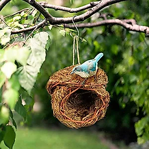 Hummingbird Bird Nest, Handwoven Straw Grass Hanging Bird Hut Grass Woven Parakeet Breeding Cave Cozy Resting Place Sparrow House for Cockatiel Parrots Parakeet Conures Finch (H02)