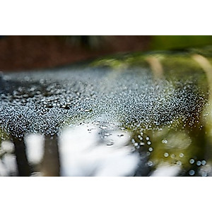 Turtle Wax T-11 Black Spray Wax - 16 oz.