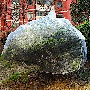 Garden Insect Plant Netting Cover with Zipper H in-Shape Bag Garden Bug Plant Netting Cover for Protecting Plant Fruits Flower from Insect Bird Eating (1, 84 x 72 inch)