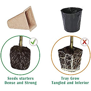 macoya Seed Starter Tray, Seedling Starter Peat Pots Kits, Biodegradable Compostable Planting Pots for Vegetable Fruit Flower, Indoor Outdoor & Organic Garden, 150 Cells Plus 30 Plant Labels