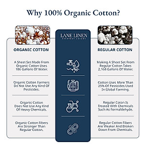 LANE LINEN Fitted Sheet Full Size, 100% Organic Cotton, 3-Piece Set (1 Fitted Sheet, 2 Pillowcases) Percale Weave, Bed Fitted Sheets, Breathable, Fits Mattress Upto 15" Deep - White (No Flat Sheet)