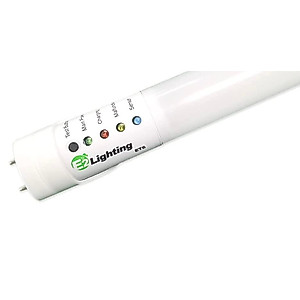 E2 Lighting LED Emergency T8 Tube, 2FT-9W, with Integrated Battery Backup (5000K)