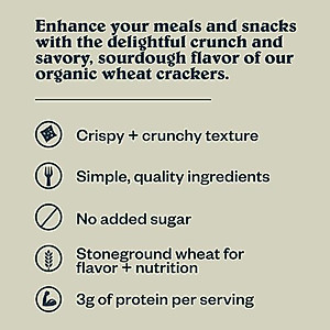 Patagonia Provisions - Sourdough Sea Salt - Certified Organic Crackers - Non-GMO, Plant-Based, No Added Sugar